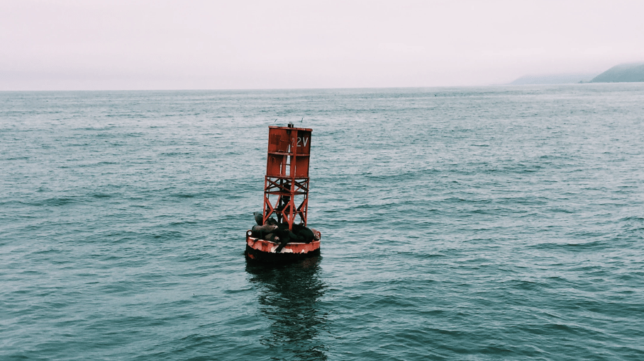 The 5 'Ocean Buoys' We Need - #1 - Vibrant Faith